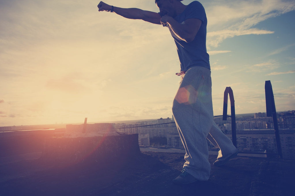 Sedroc Sports: Your source for mma, boxing and martial arts equipment.